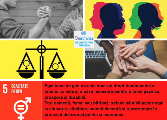 Obiectivul 5 al Dezvoltării Durabile: Egalitate de gen - Organismul Național de Standardizare ...